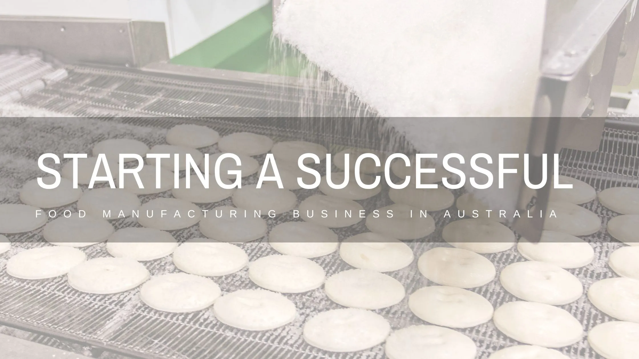 Food Manufacturing Business Guide